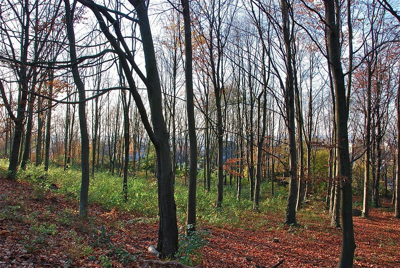 Visit Duden Park (Parc Duden) in Brussels | Live the World