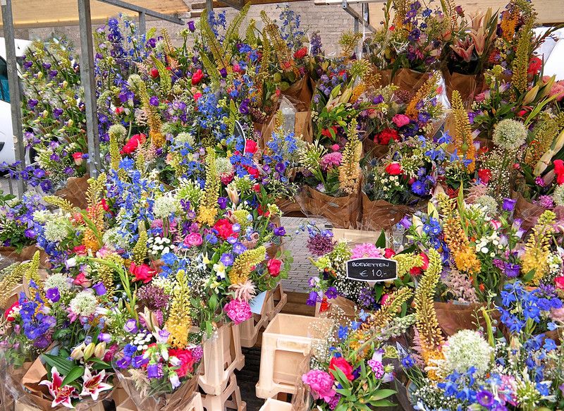 Visit Flower market Janskerkhof (Bloemenmarkt Janskerkhof) in Utrecht ...
