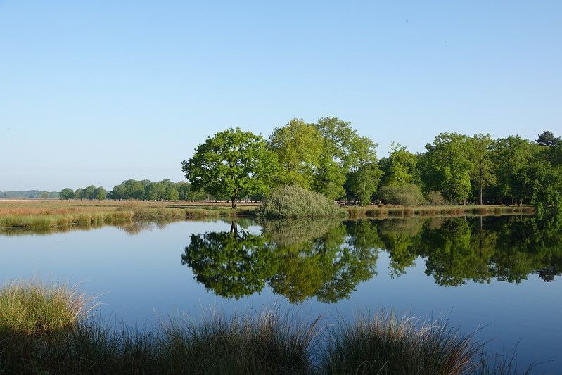 Visit Dwingelderveld National Park (Nationaal Park Dwingelderveld ) in ...