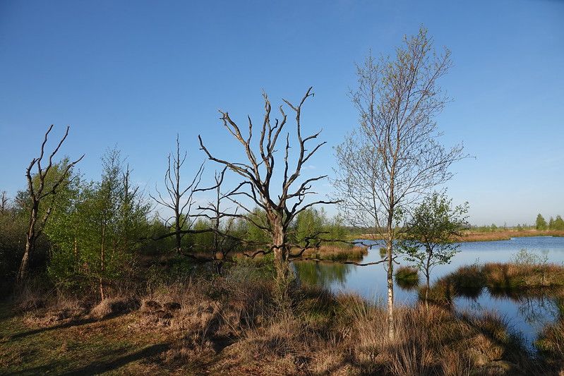 Visit Dwingelderveld National Park (Nationaal Park Dwingelderveld ) in ...