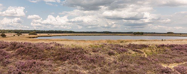 Visit Dwingelderveld National Park (Nationaal Park Dwingelderveld ) in ...
