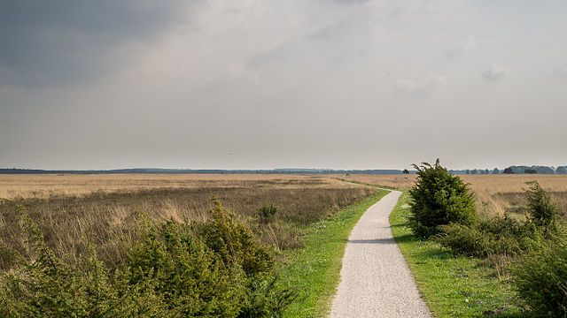 Visit Dwingelderveld National Park (Nationaal Park Dwingelderveld ) in ...