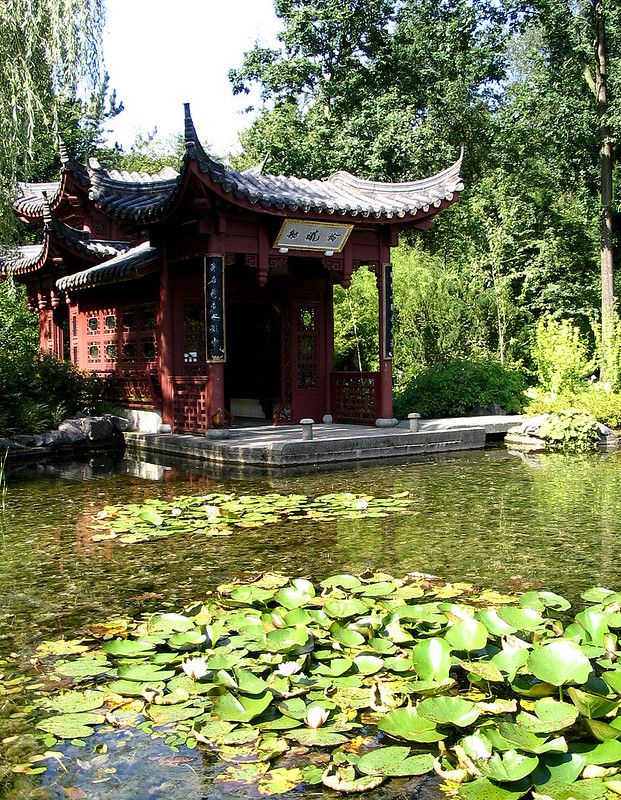 Visit Hortus Haren (De Hortus Botanicus Haren) in Haren | Live the World