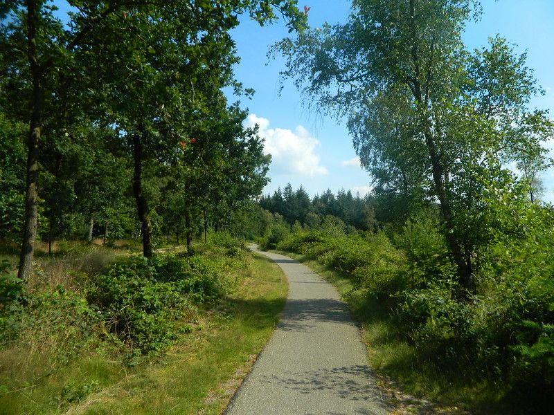 Visit Kwintelooyen Loop in Veenendaal | Live the World