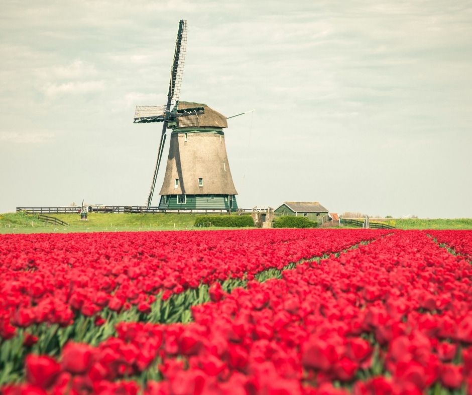 Top things to do and off-the-beaten path places for Netherlands