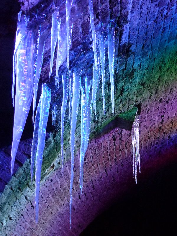 Visit Trajectum Lumen in Utrecht | Live the World