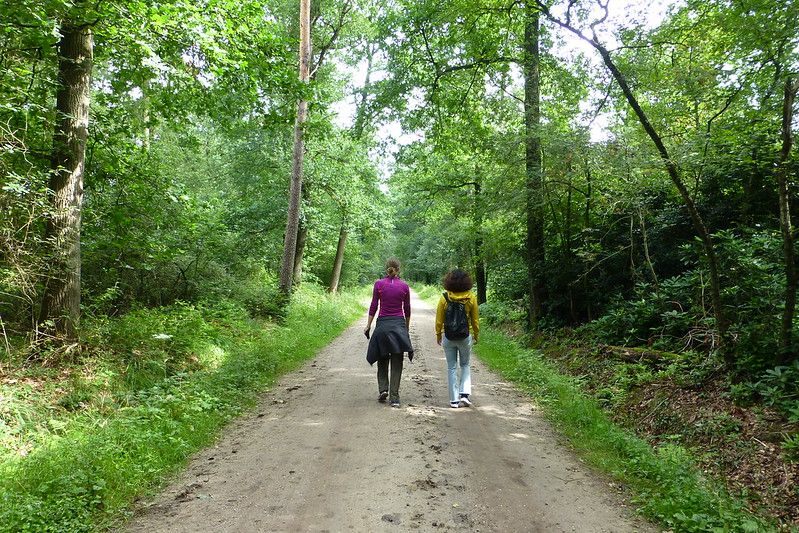 Visit Twickel Castle (Landgoed Twickel ) in Hof van Twente | Live the World