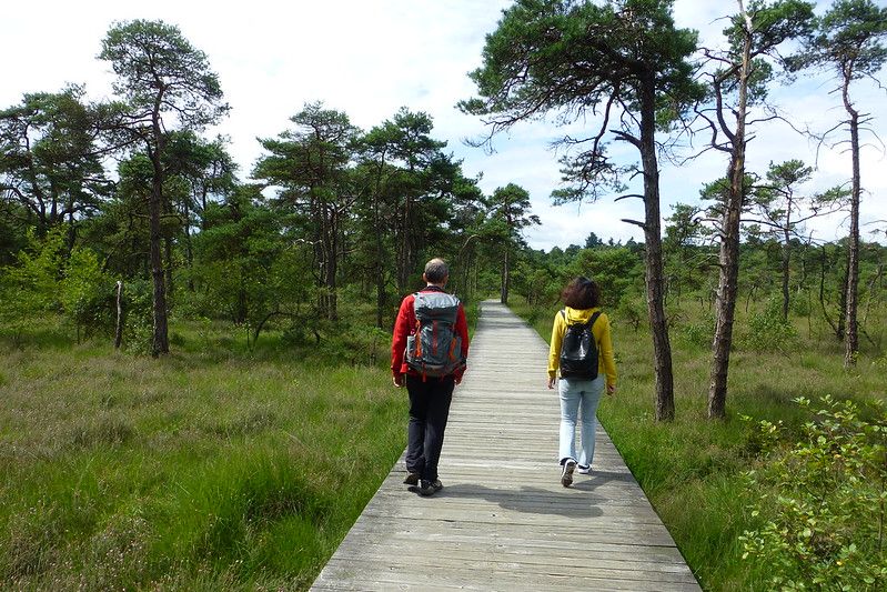 Visit Twickel Castle (Landgoed Twickel ) in Hof van Twente | Live the World