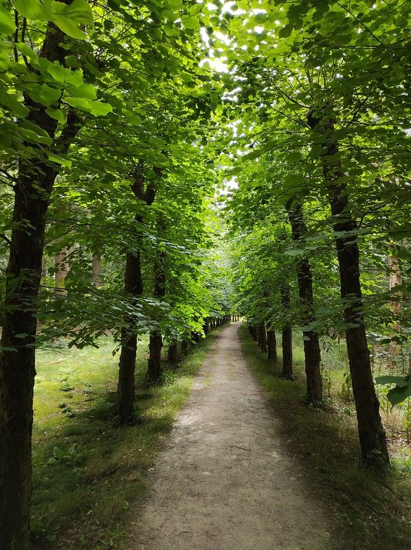 Visit Vliegbasis Soesterberg in Soesterberg | Live the World