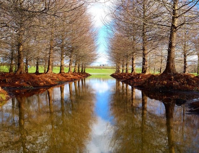 Visit Westerpark in Amsterdam | Live the World
