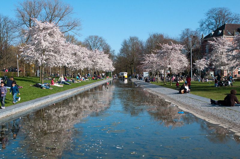 Visit Westerpark in Amsterdam | Live the World