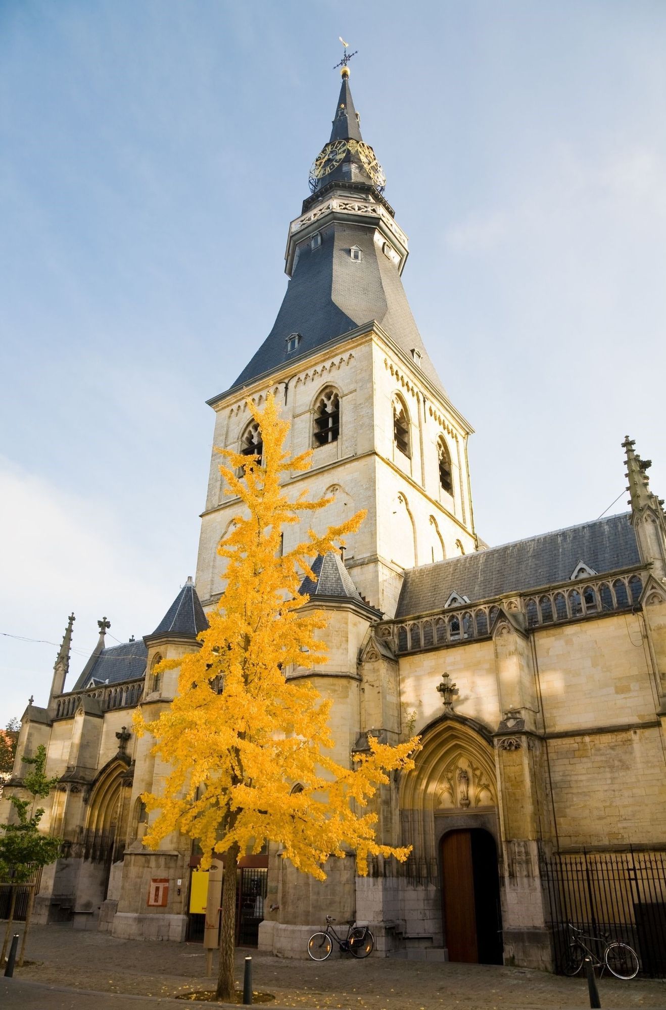 Top things to do and off-the-beaten path places for Hasselt