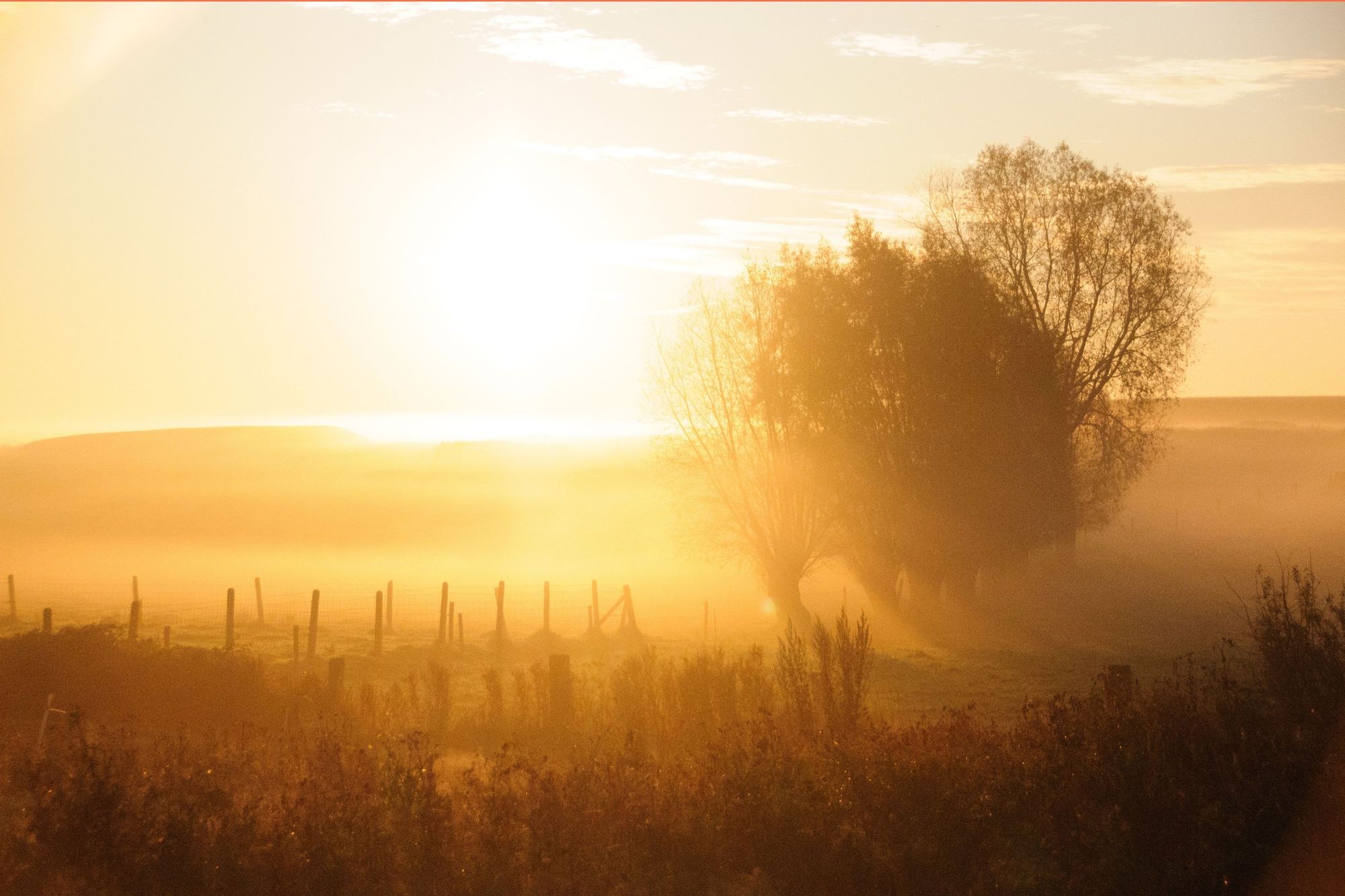 Top things to do and off-the-beaten path places for East Flanders