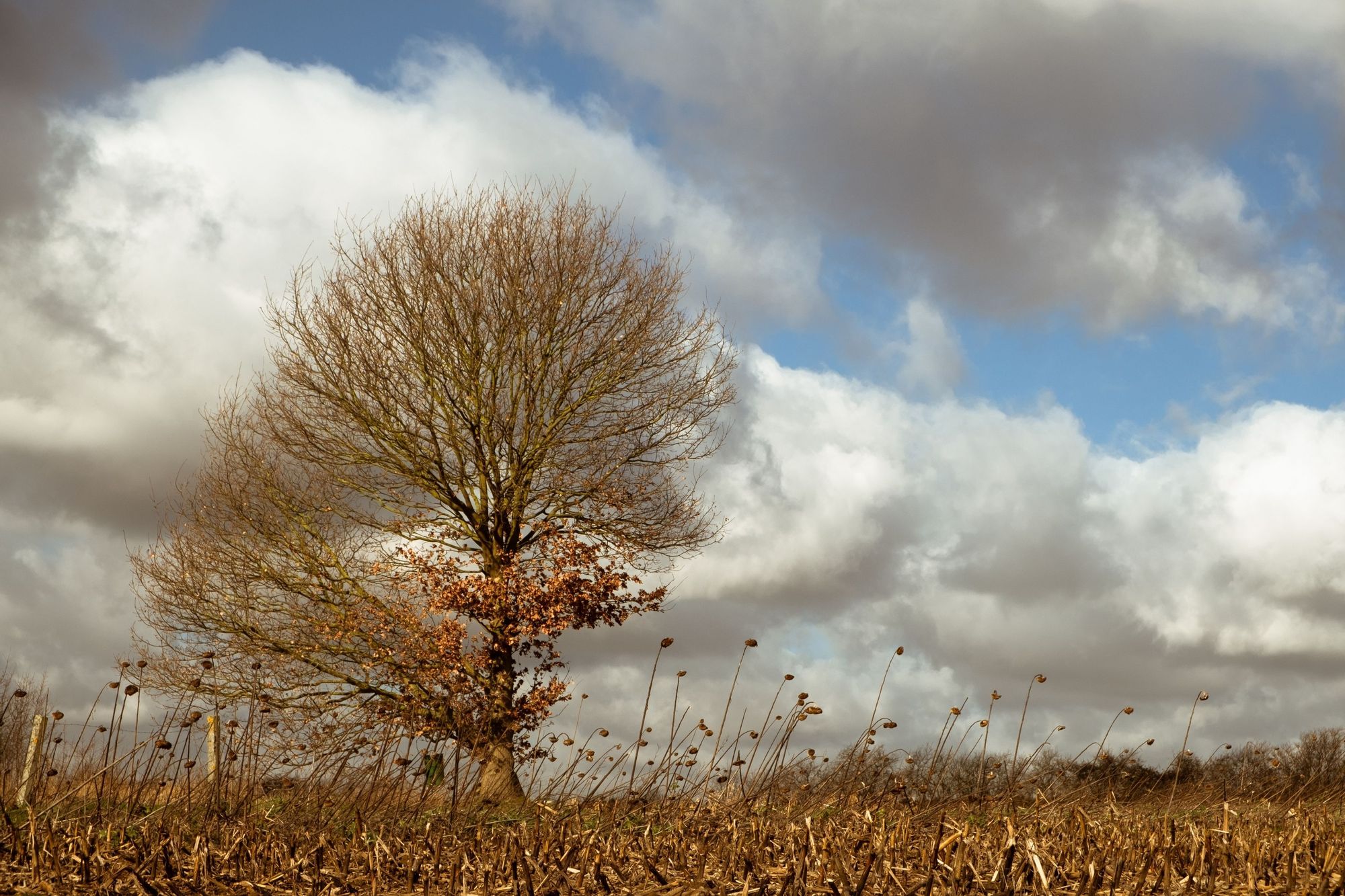 Top things to do and off-the-beaten path places for Flemish Brabant