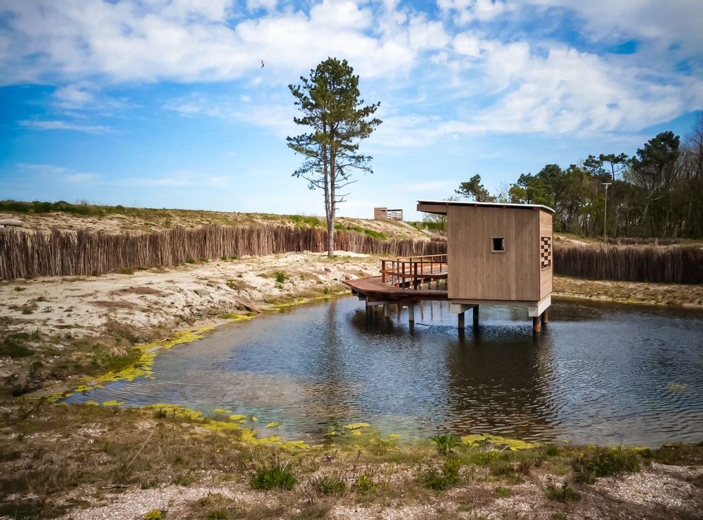 Visit Zwin Nature Park (Het Zwin) in Knokke-Heist | Live the World