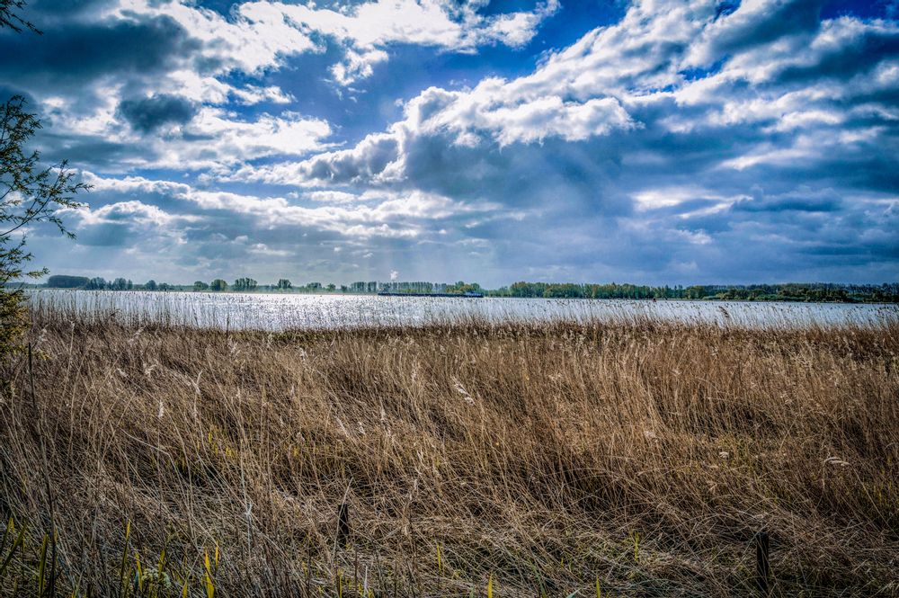 Visit National Park De Biesbosch in Drimmelen | Live the World