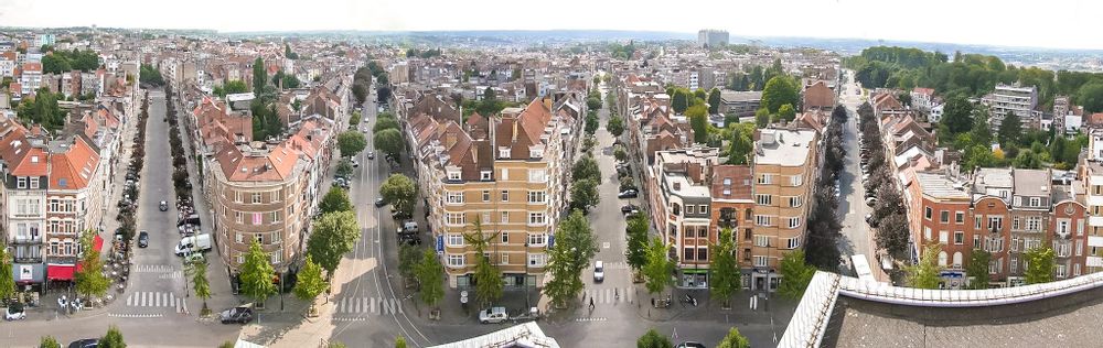 Visit Altitude 100 in Forest | Live the World