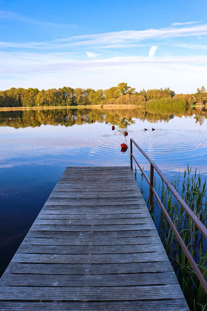 Visit Bambois Lake and Gardens (Les Jardins du Lac de Bambois) in ...