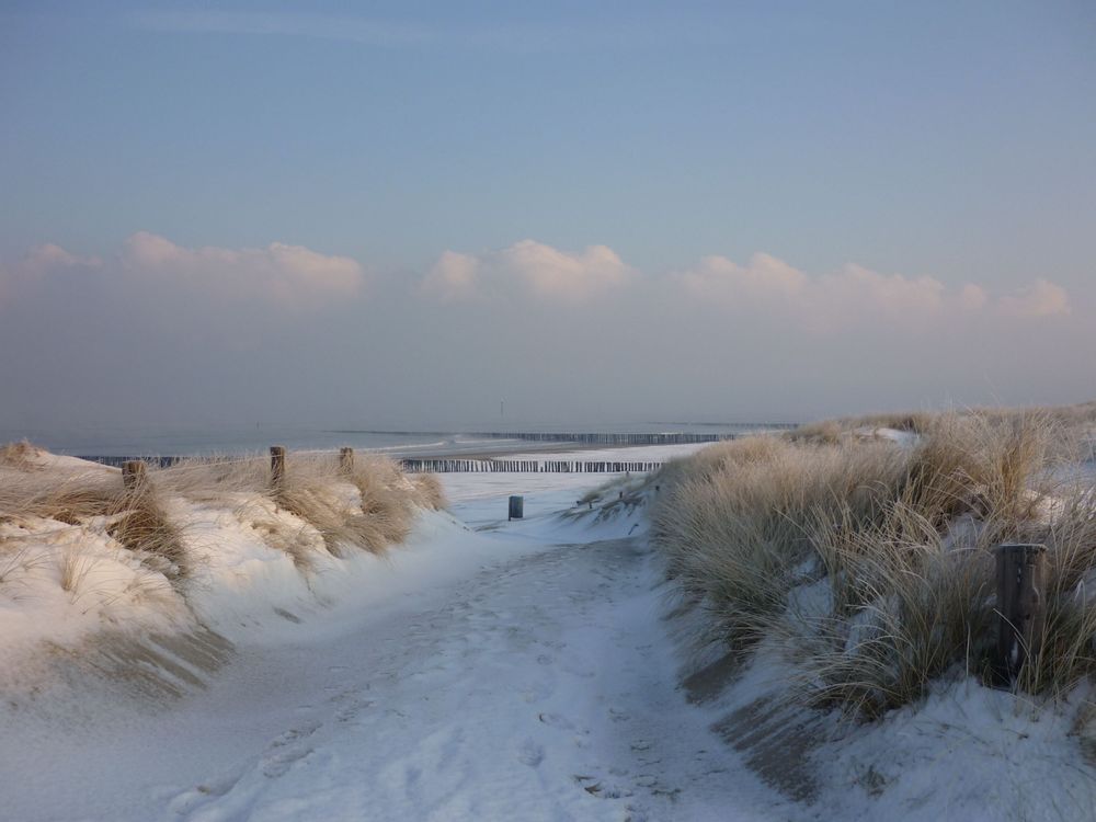 Visit Cadzand-Bad in Cadzand | Live the World