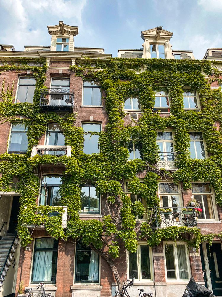 The 2022 Travel Guide to De Pijp | what you need to know