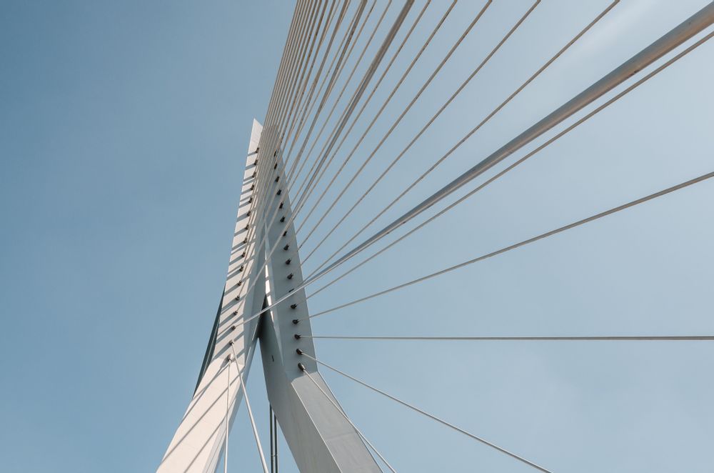 Visit Erasmusbrug (Erasmus Bridge) in Rotterdam | Live the World