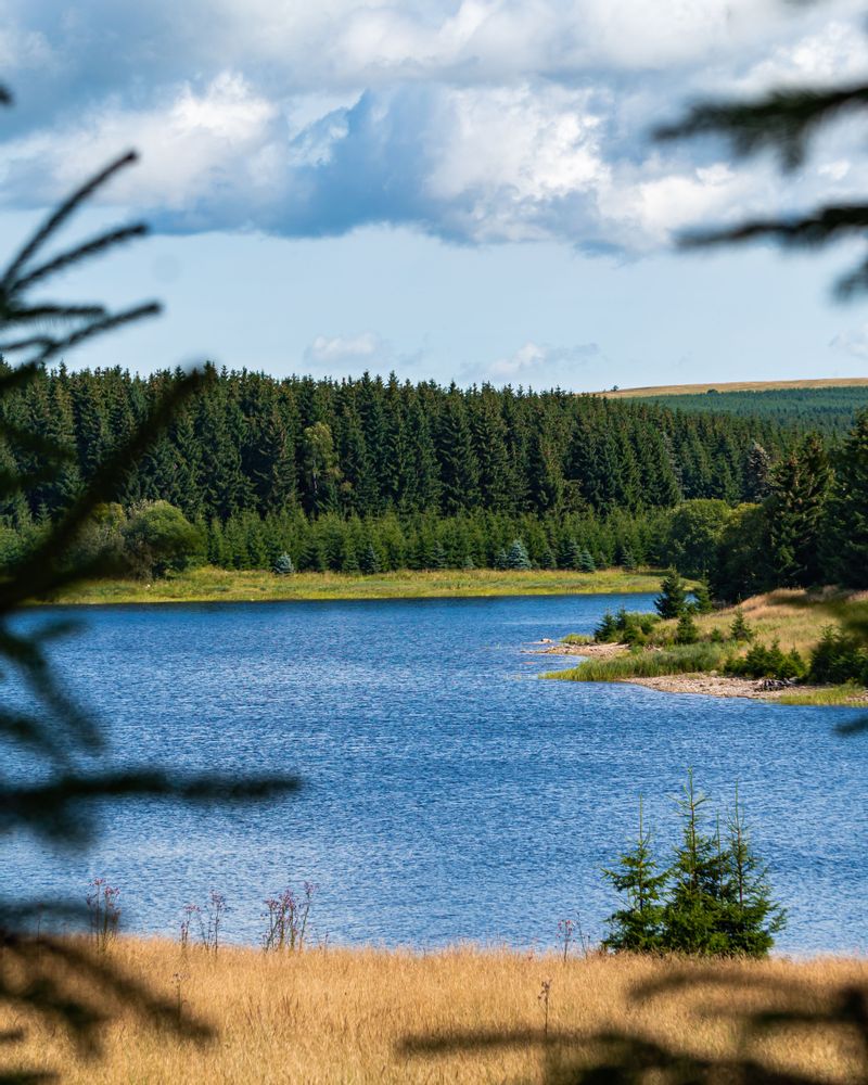 Visit Fláje reservoir (Vodní nádrž Fláje) in Rádlo | Live the World