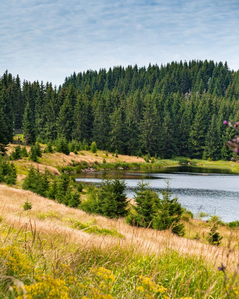 Visit Fláje reservoir (Vodní nádrž Fláje) in Rádlo | Live the World