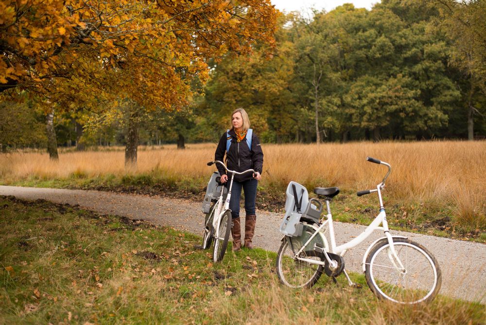 Visit Hoge Veluwe National Park in Otterlo | Live the World