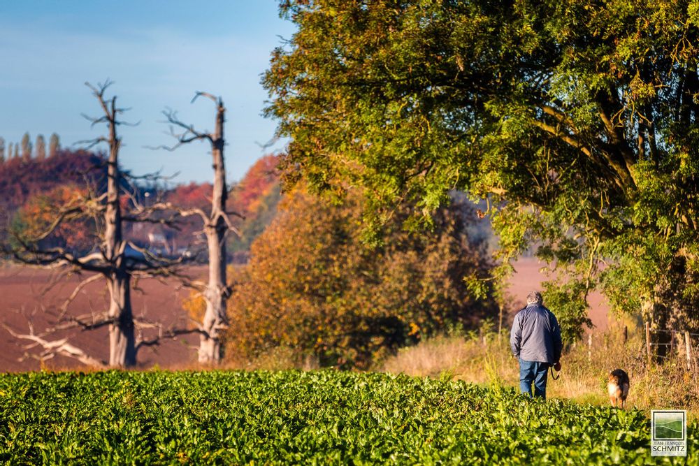 Visit Hougoumont Farm (Musée de la Ferme d'Hougoumont ) in Braine-l ...