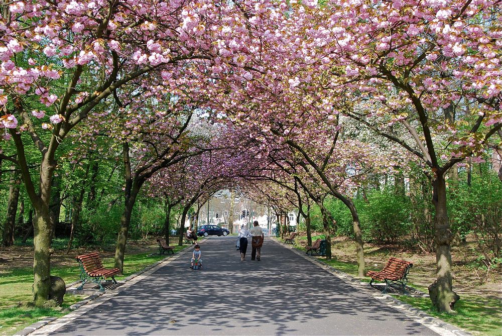 Visit Josaphat Park in Schaerbeek | Live the World