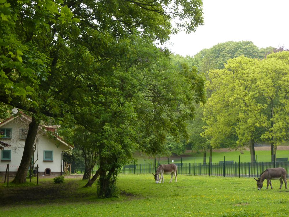 Visit Josaphat Park in Schaerbeek | Live the World