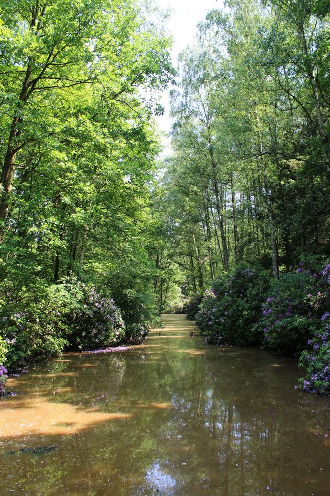 Visit Kasteel van Zellaer in Bonheiden | Live the World