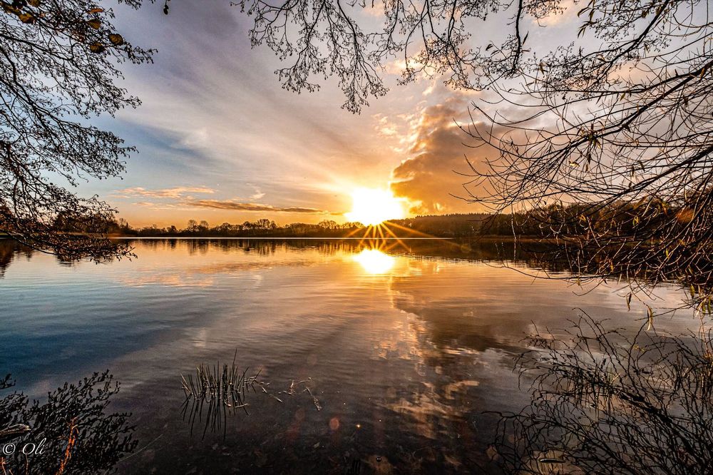 Visit Bambois Lake and Gardens (Les Jardins du Lac de Bambois) in ...