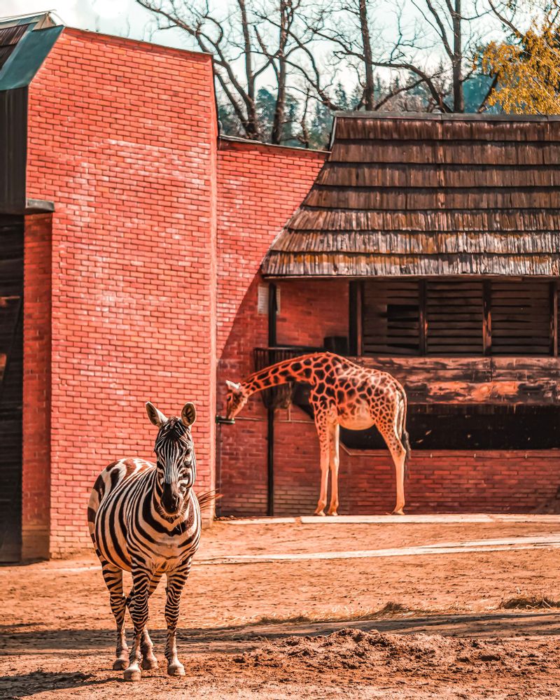 Visit Liberec Zoo (Zoo Liberec) in Liberec | Live the World