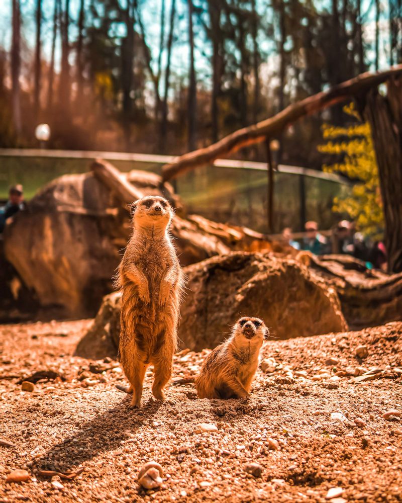 Visit Liberec Zoo (Zoo Liberec) in Liberec | Live the World