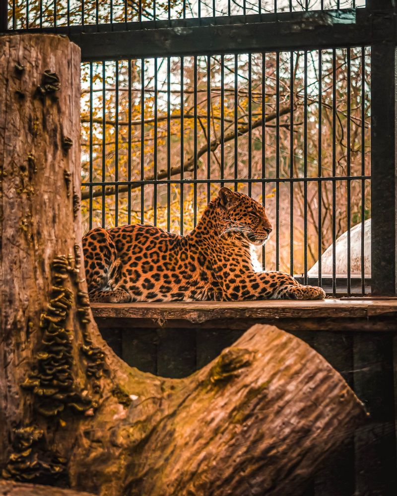 Visit Liberec Zoo (Zoo Liberec) in Liberec | Live the World