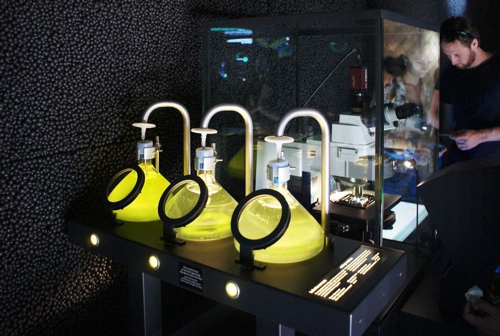 Visit Micropia in Amsterdam | Live the World