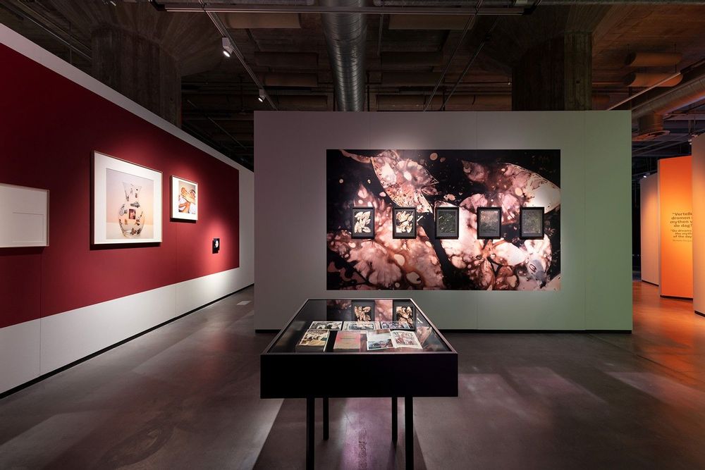 Visit Dutch Photography Museum (Nederlands Fotomuseum) in Rotterdam ...