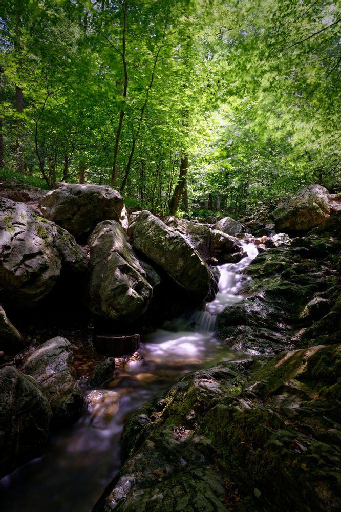 Visit Ninglinspo Walk in Aywaille | Live the World