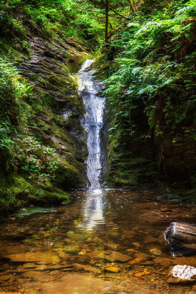 Visit Ninglinspo Walk in Aywaille | Live the World