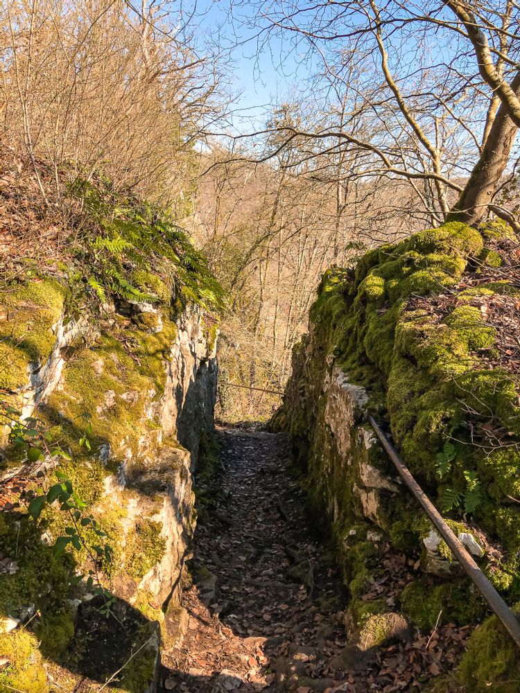 Visit Park Furfooz (Le Parc de Furfooz) in Dinant | Live the World