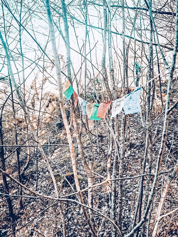 Visit Pierre Haina in Durbuy | Live the World