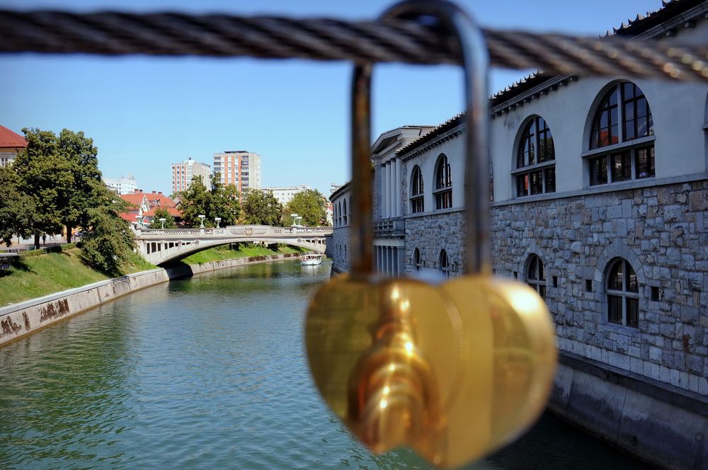 House For Sale Butchers Bridge Road Jarrow at Jill Deleon blog