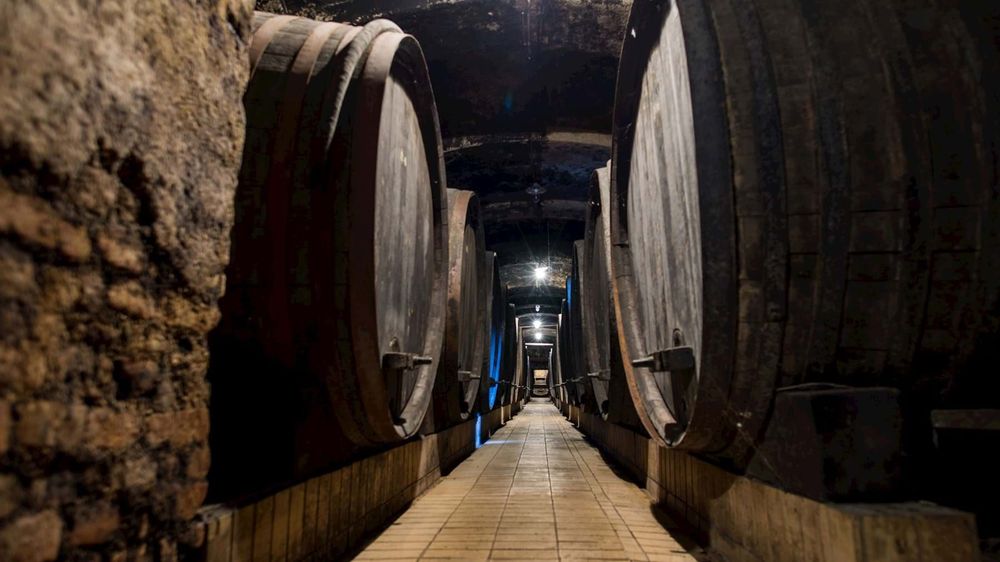Visit Vinag Wine Cellar in Maribor | Live the World