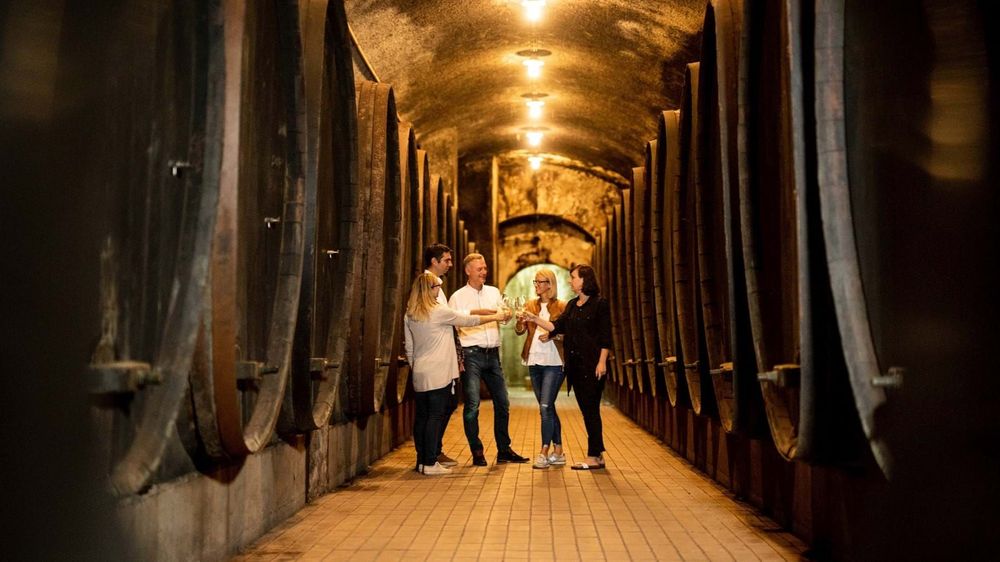 Visit Vinag Wine Cellar in Maribor | Live the World
