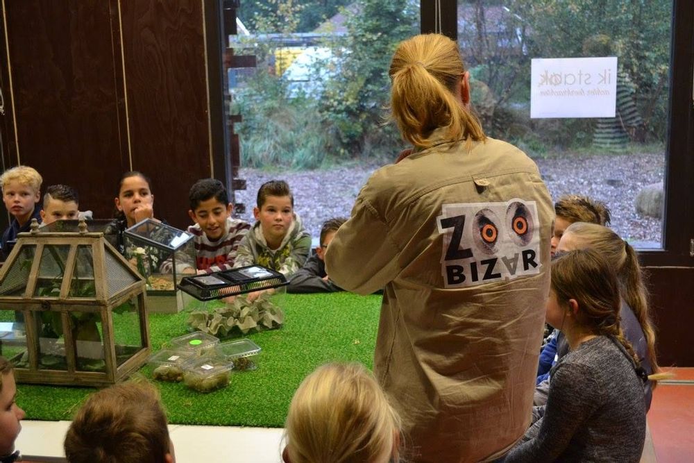 Visit Zoo Bizar in Orvelte | Live the World