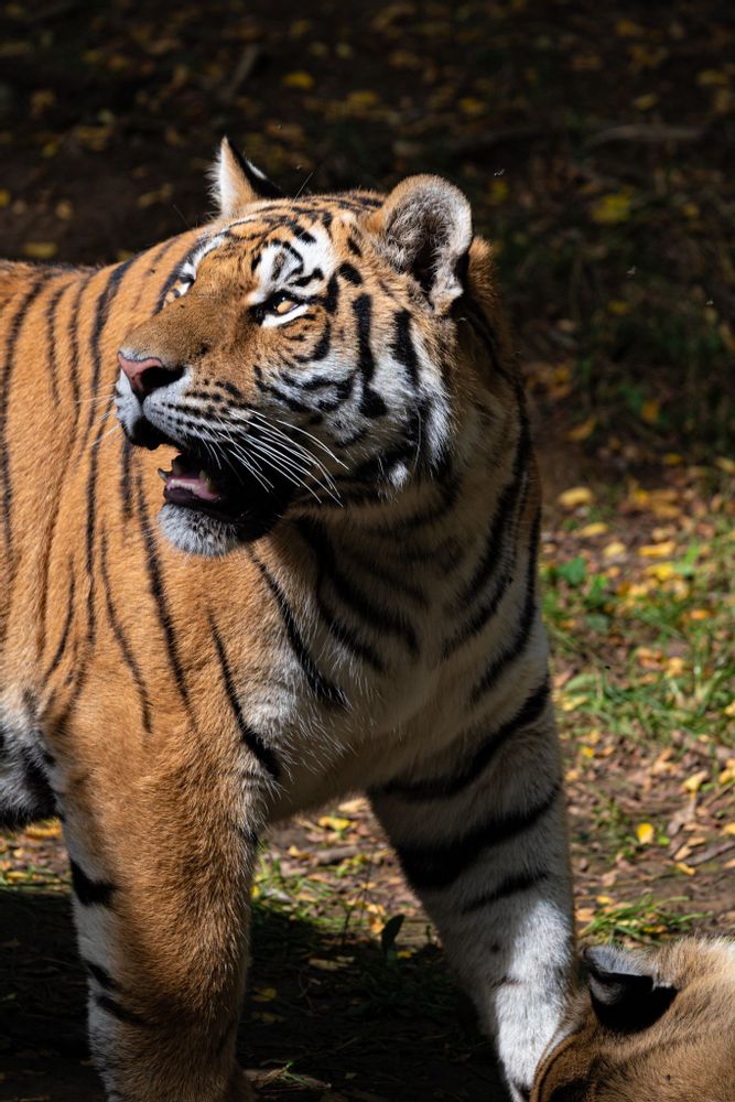 Visit Zoo and Chateau Zlin-Lesna (ZOO a zámek Zlín-Lešná) in Zlín ...