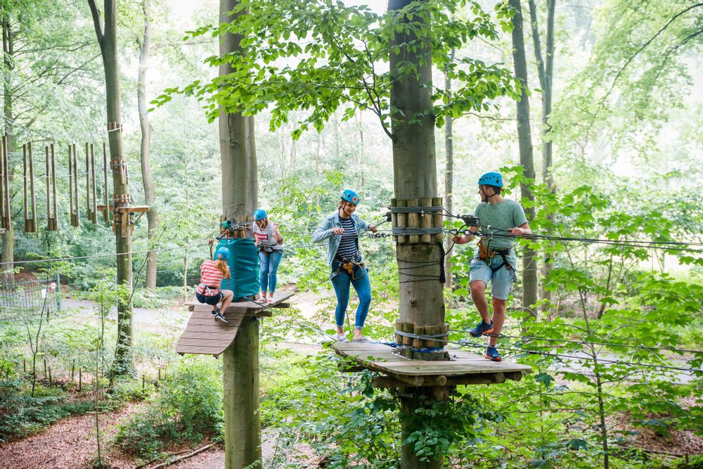 Visit Fun Forest Almere (Klimbos Fun Forest Almere ) in Almere | Live ...