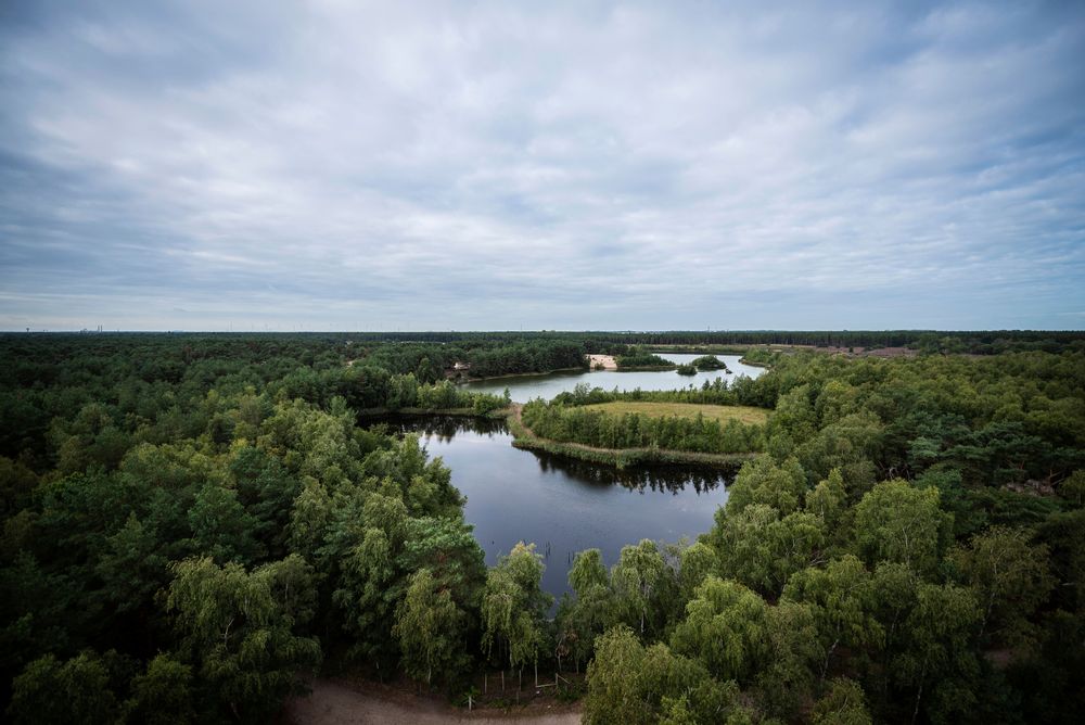 Visit Sahara Lommel (Lommelse Sahara) in Lommel | Live the World