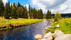Sumava National Park - the Bohemian forest